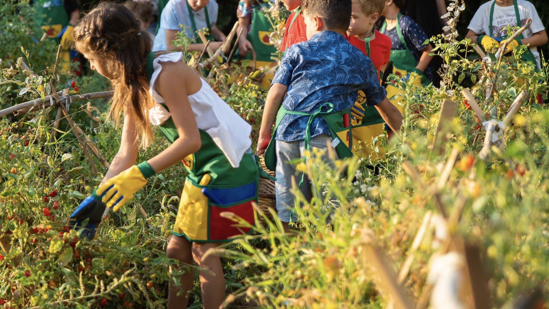 Farmers in action - Oasis Activity Farm Park
